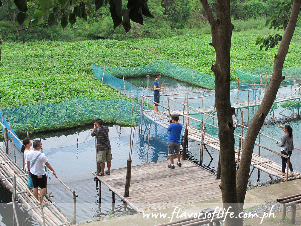 Discovering Vigan (Day 2): Ancestral Homes and Local Flavors